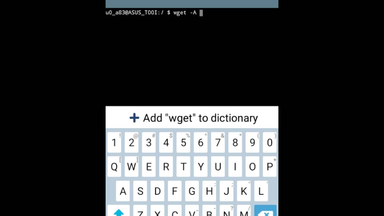 Trying to use Wget in Android Terminal Emulator