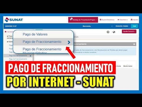 Pago de fraccionamiento SUNAT por internet 2024 |Tutorial paso a paso