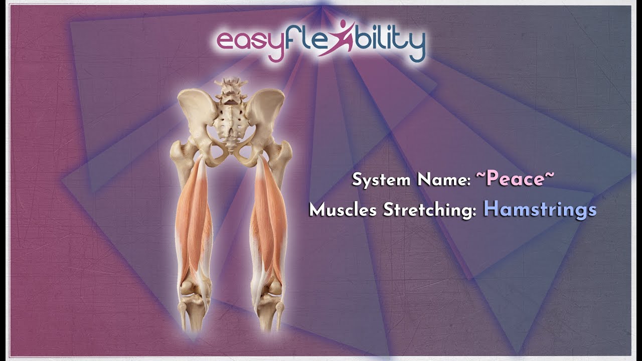 Daily Hamstring Flexibility Routine for Beginners