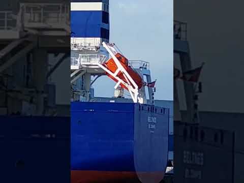 Schip "Beltnes" aan de kade. Schiff "Beltnes" am Kai. La nave "Beltnes" al molo. Skipið "Beltnes".