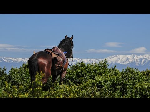 Self Guided Horse Riding Tour - Discovery Trail