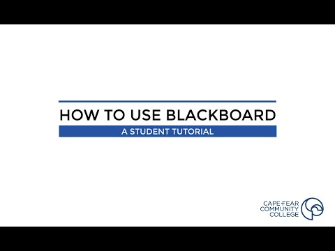 Blackboard Orientation: How to Use Blackboard