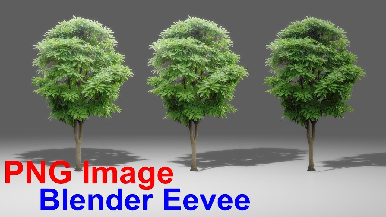 Png Image I Blender Eevee