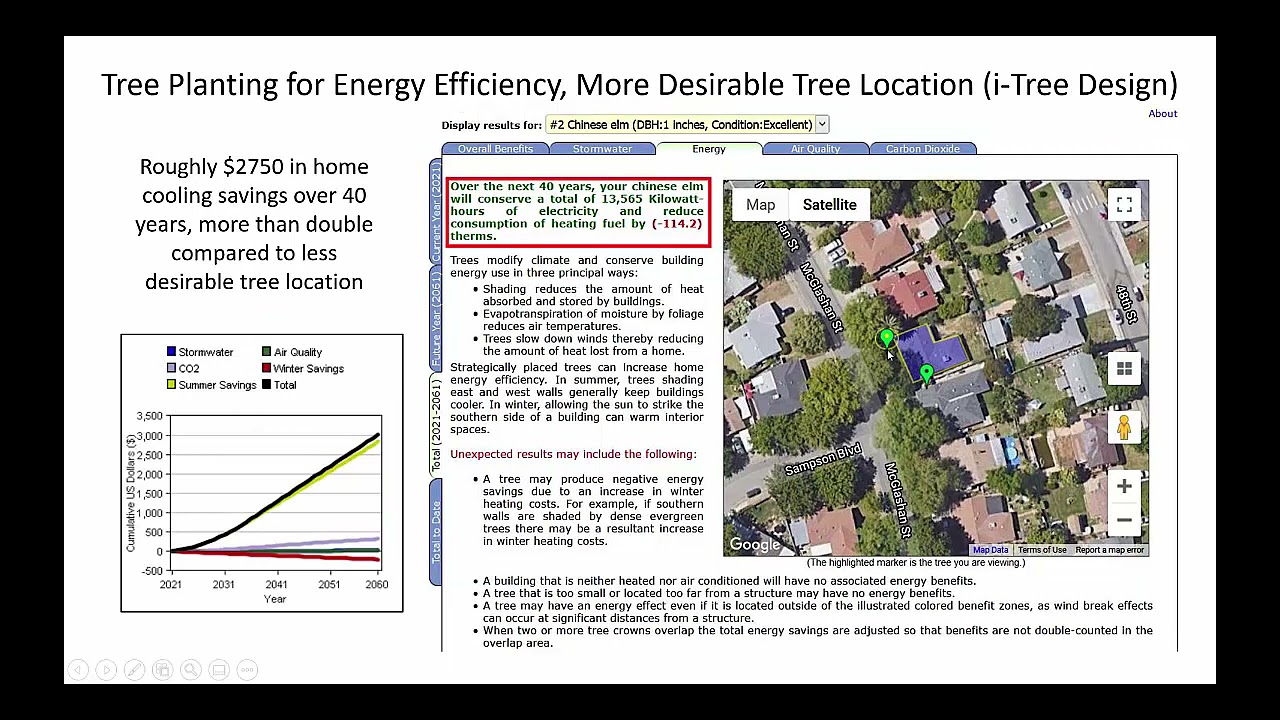 i-Tree Design Intro 2021