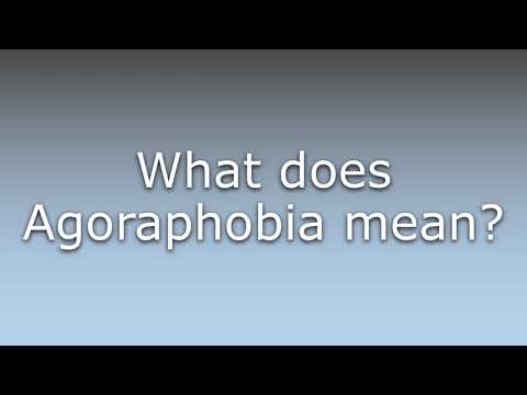 What does Agoraphobia mean?