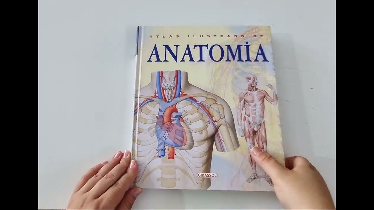 O Livro Do Corpo Humano Atualizado - Atlas Anatomia Humana