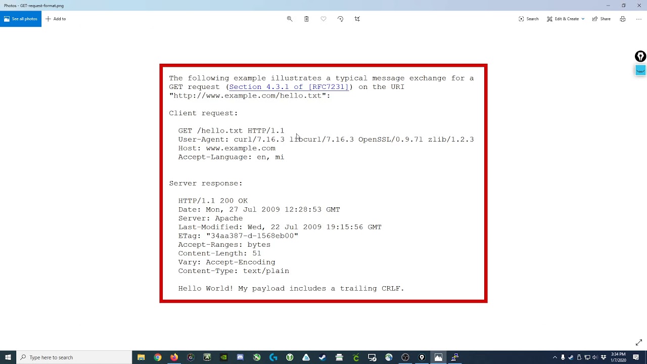[019] Raw HTTP request using Python
