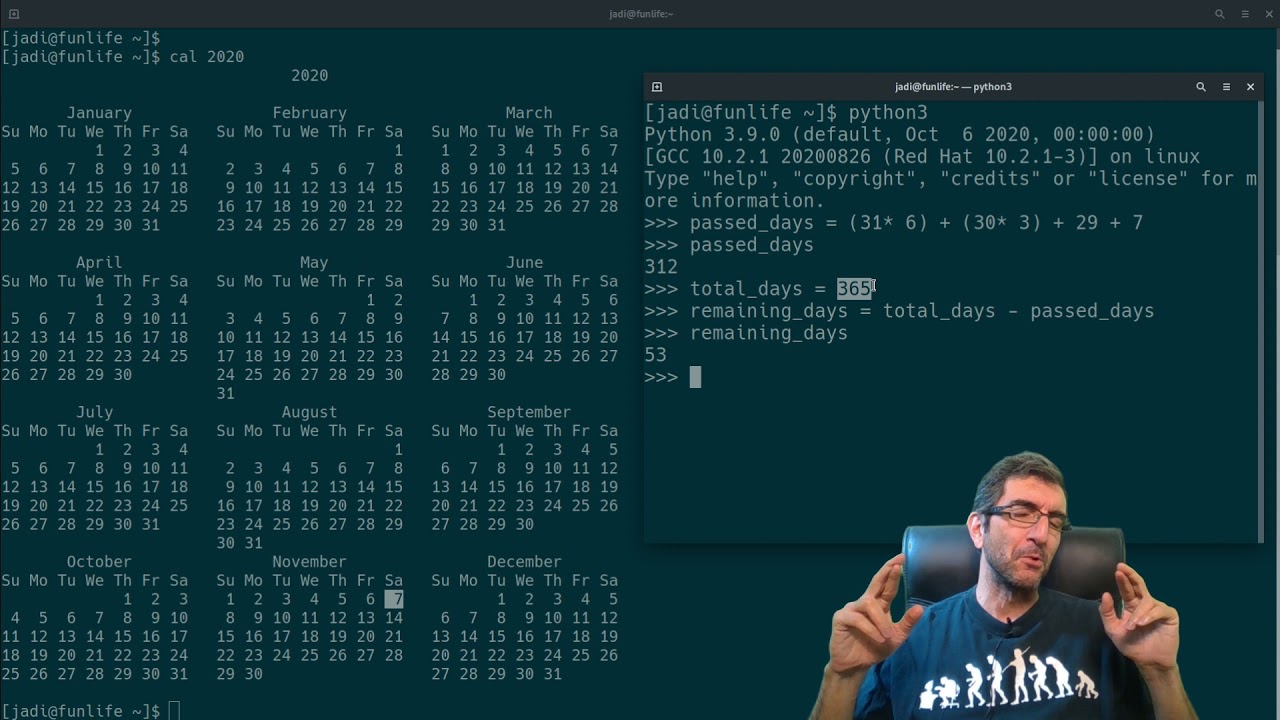 Fun with Python3 - Print this years progress bar
