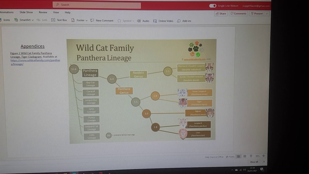 Animal Classification PowerPoint
