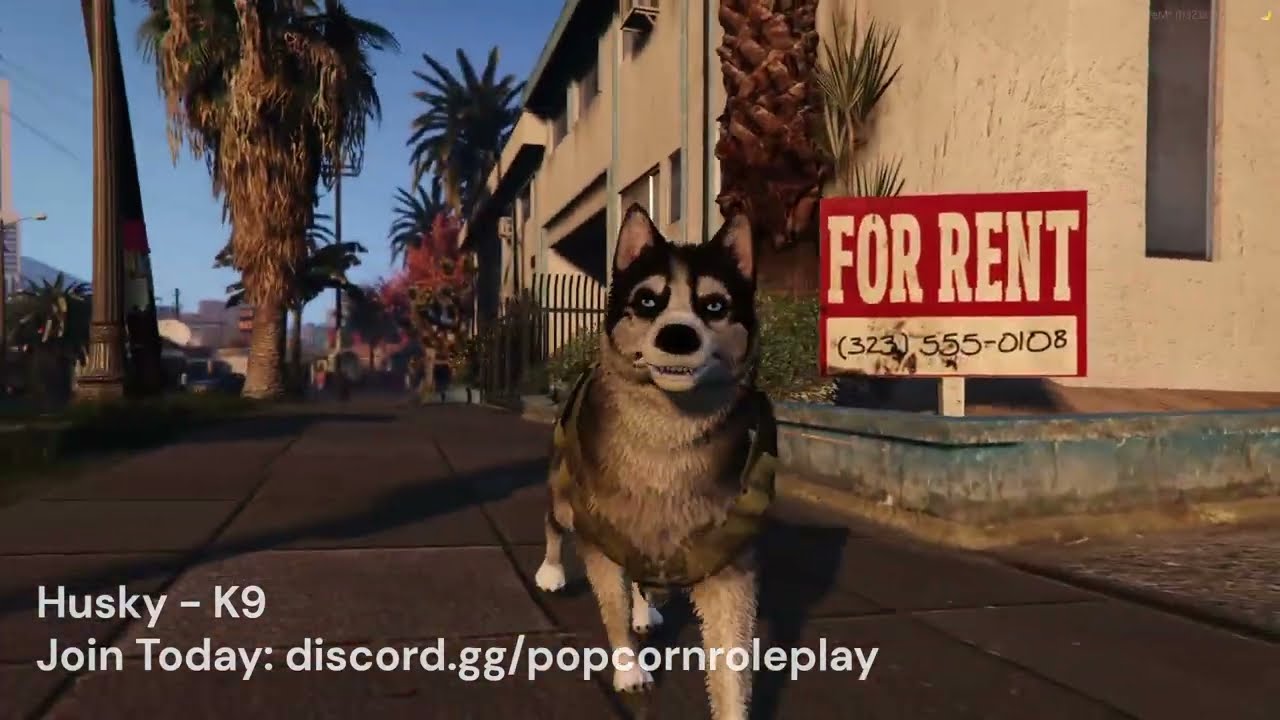 Husky K9 - Addon Dog Ped - FiveM Releases - Cfx.re Community