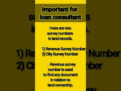 Survey numbers Revenue Survey and City Survey