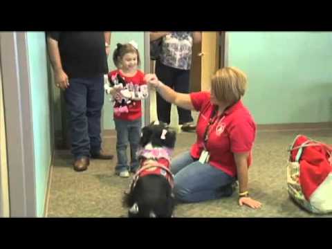Pet therapist recognized