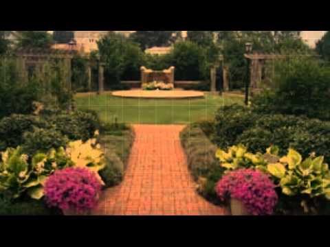 Mt Tam Gardening Service in Corte Madera-Call Now (415) 488-8080