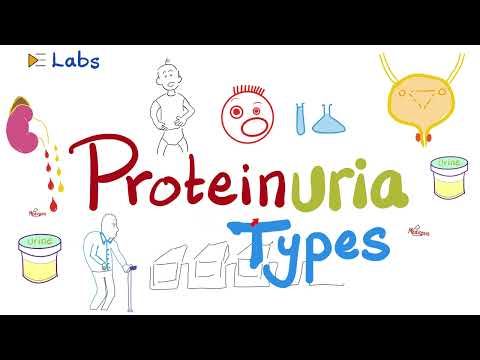 Protein in the Urine (Proteinuria) - Causes and Types - Nephrology Series