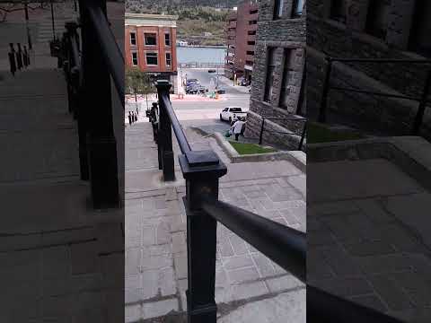 MAN IS FREED FROM THE SUPREME COURT OF NEWFOUNDLAND AND LABRADOR(CANADA)