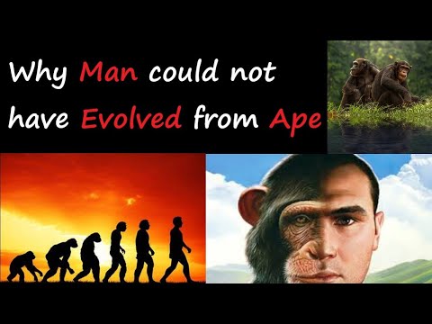 Adam or Ape, who is our Father? | God Exists 13| Origins of Humanity, Creation or Evolution?!