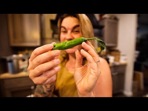 Blistered Shishito Peppers | Using the Harvest