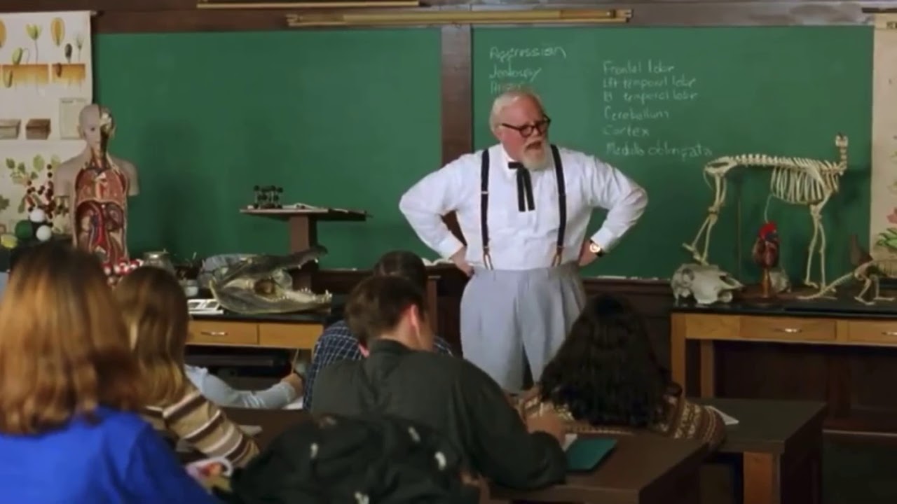 The Waterboy - Alligators