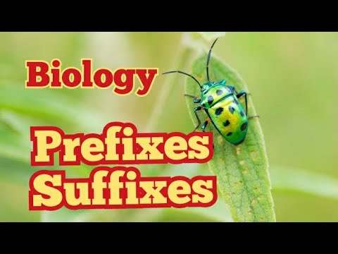 Biology Prefixes and Suffixes @SmartStudy123