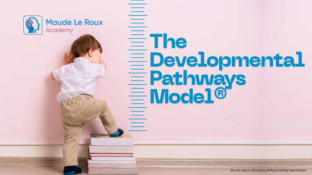 The Developmental Pathways Model