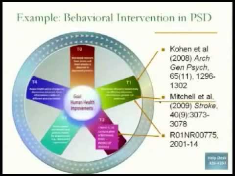 Translational Research Seminar