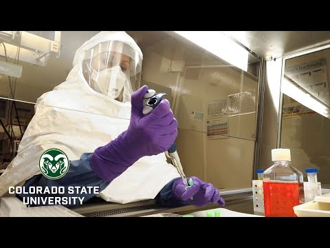 Colorado’s Rise Among US’ Top Tech Hubs has CSU Holding a Major Federal Research Conference