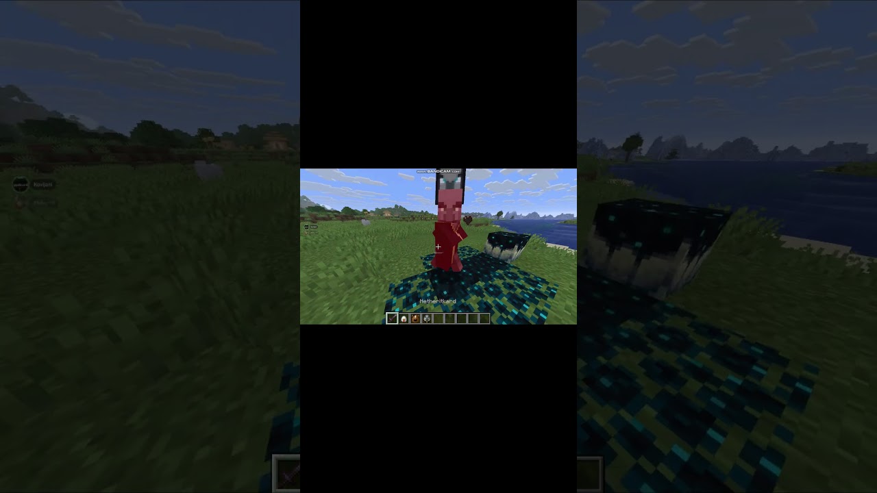 WARDEN #minecraft #warden #epic