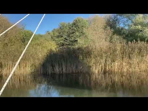 Loddon to Reedham, river cruiser, Norfolk Broads, Oct 2024.