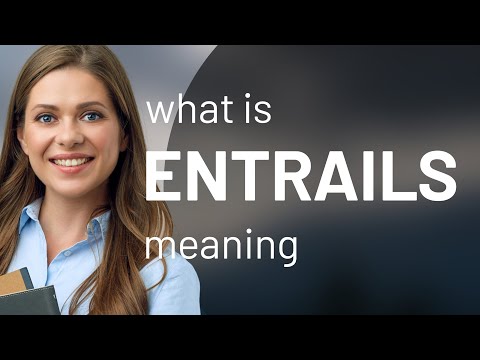 Entrails | definition of ENTRAILS