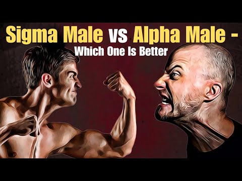 Sigma Male vs Alpha Male: Which One Is Better?