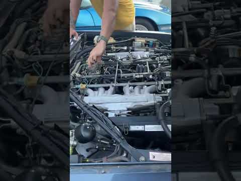 Sound of a Straight pipe Jaguar XJS V12