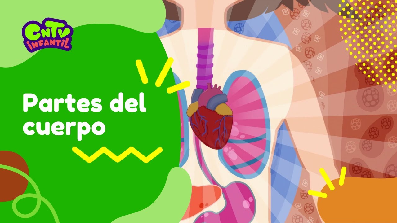 Partes del cuerpo | Camaleón y las naturales ciencias 3° temporada