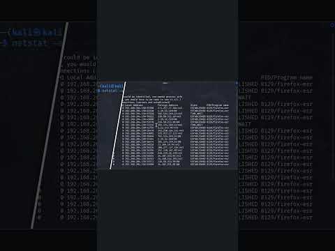 Monitor Network Connections With Netstat Command in Linux