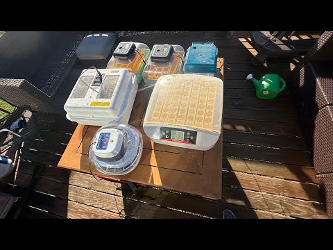 Testing 7 Different Egg Incubators - Which One is Best?