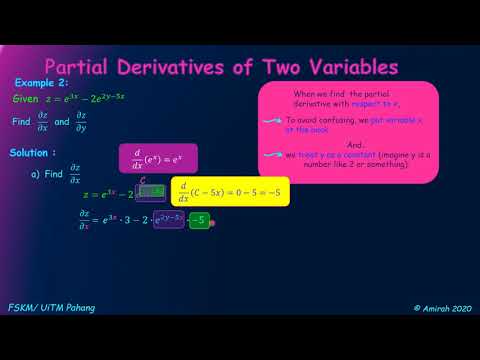 Partial Derivatives of Functions of Two And Three Variables Video Lecture - Mathematics Optional ...