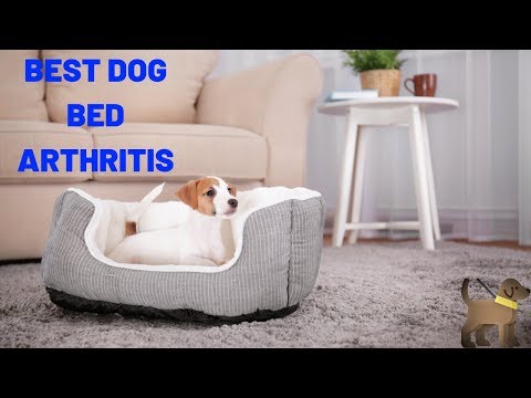 Best Dog Beds For Arthritis | Best Dog Beds On Amazon