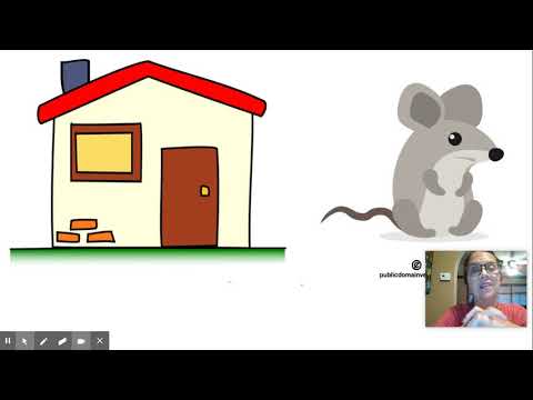 Phonics: Identifying Rhyme Words