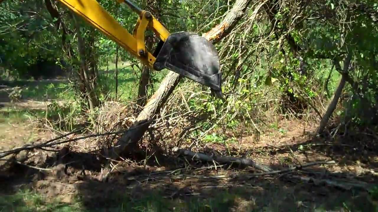 Ford Backhoe Knocking Down Tree