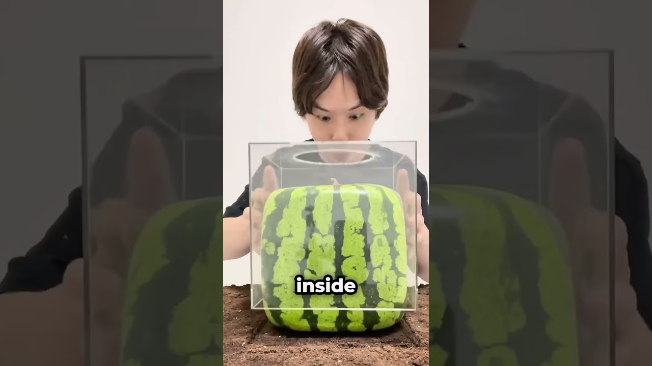 This Watermelon Is A Massive Scam!