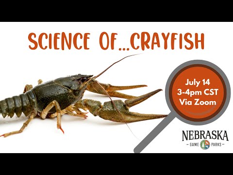 Science of...Crayfish
