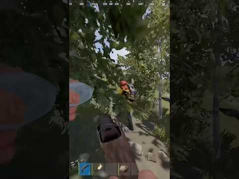Laggy server snowball reddit/playrust fix your servers #rustpc #rust #rustpvp #rustgame