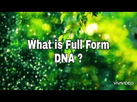 What is Full Form of DNA ?