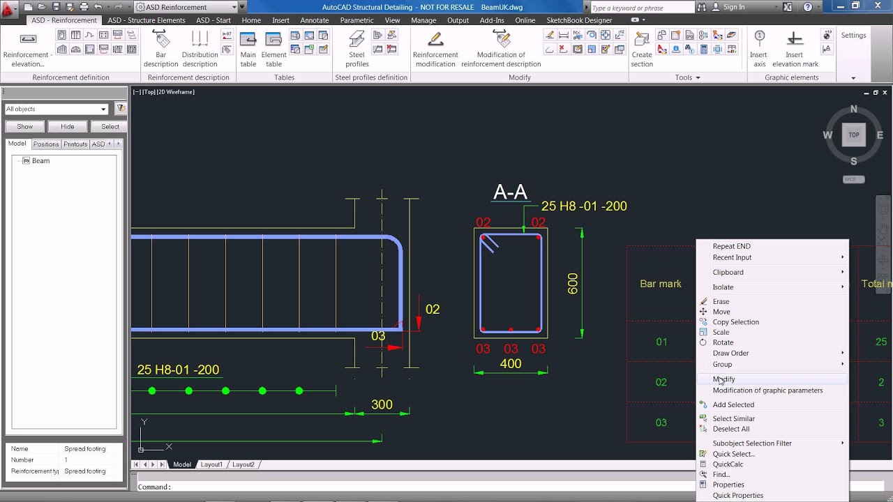 AutoCAD Structural Detailing 2012: Countrification UK