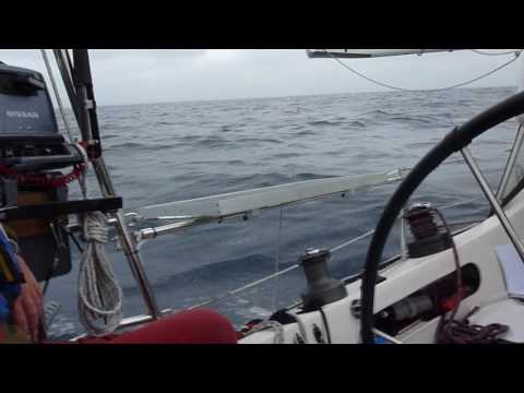 Movie Trailer: Gales, Whales and the Baja Ha-Ha