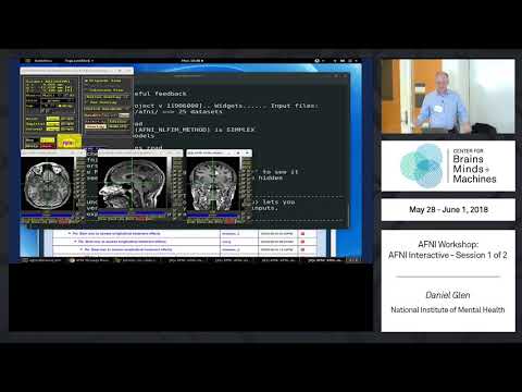 03 - AFNI Interactive: Session 1 of 2