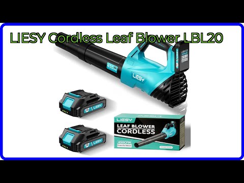 REVIEW (2025): LIESY Cordless Leaf Blower LBL20. ESSENTIAL details.