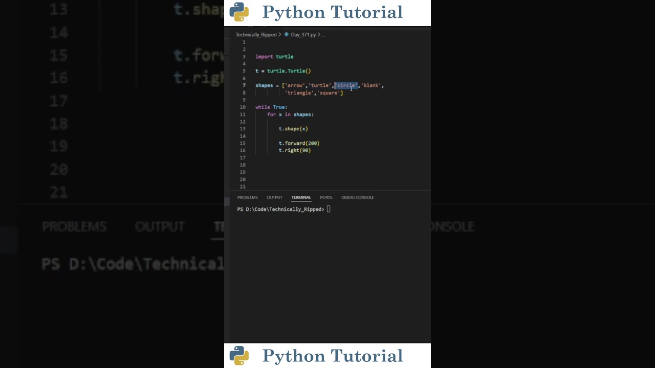 How To Change Turtle Shape In Python | Python Tutorial
