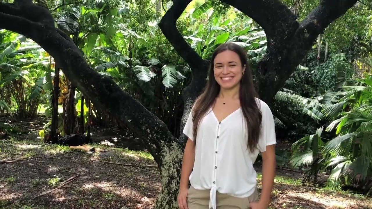 Guaiacum sanctum _ Christine Pardo