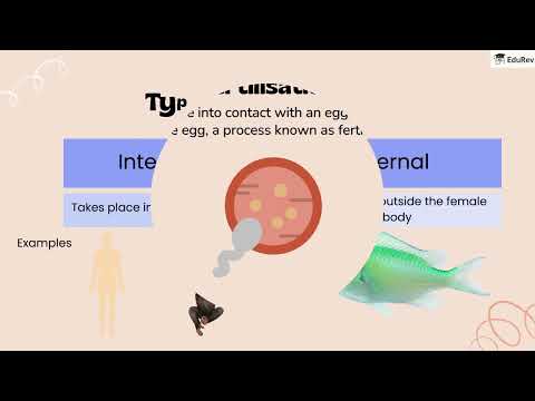 Quick Revision: Reproduction in Animals Video Lecture - Science Class 8