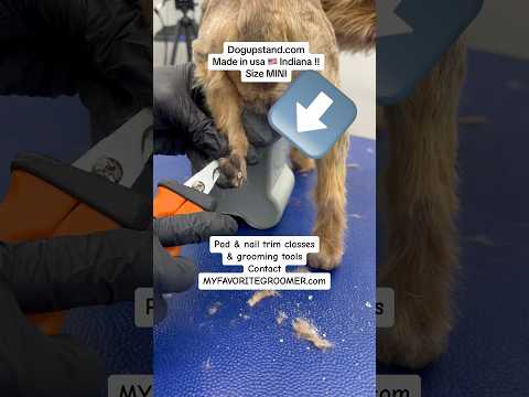 Pad & #toenail #grooming #tools #classes contact MYFAVORITEGROOMER.com